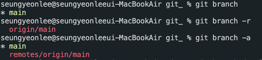 [SeSAC DT 과정] git branch 이해와 사용